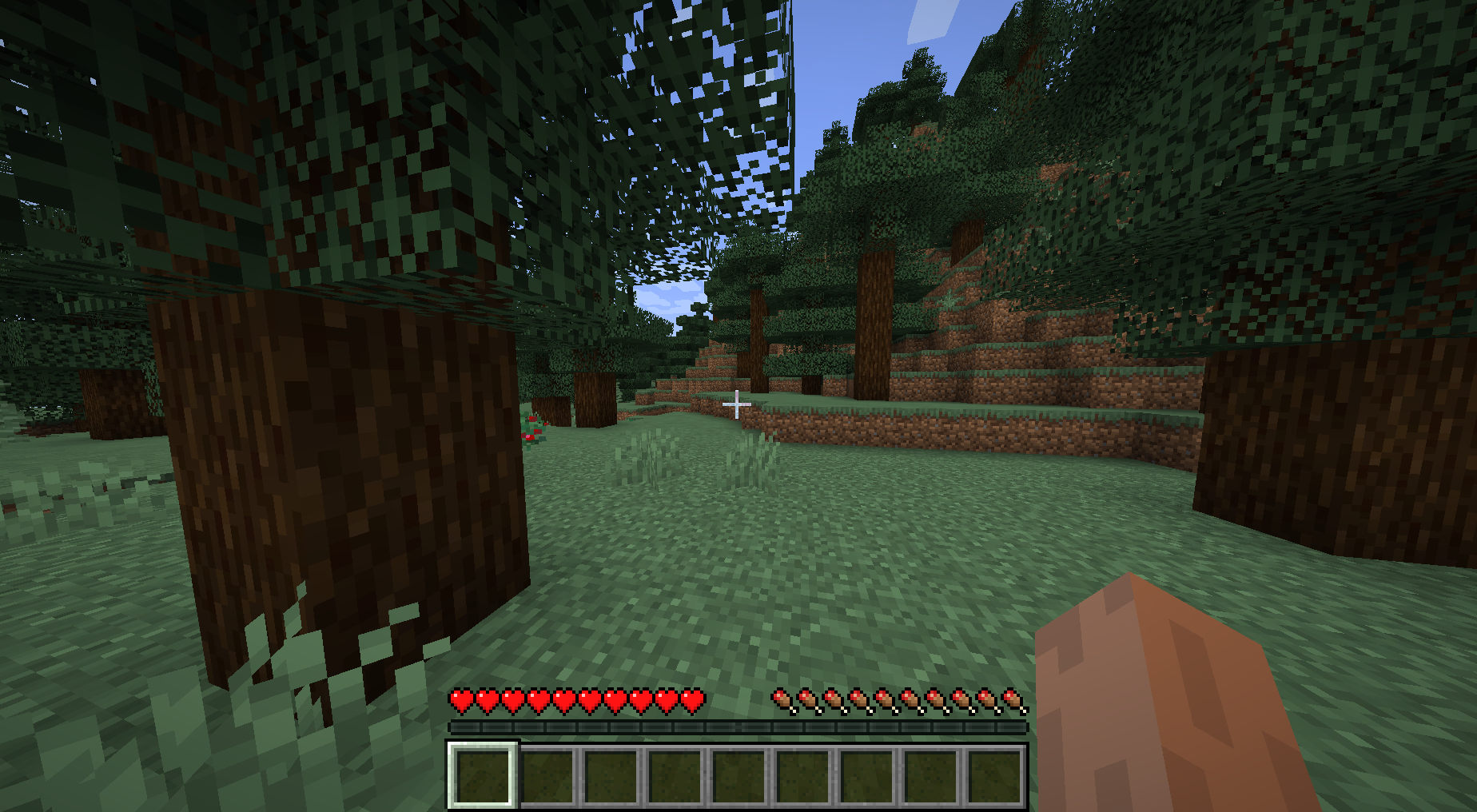 Added support for online mode option | Minehost.io